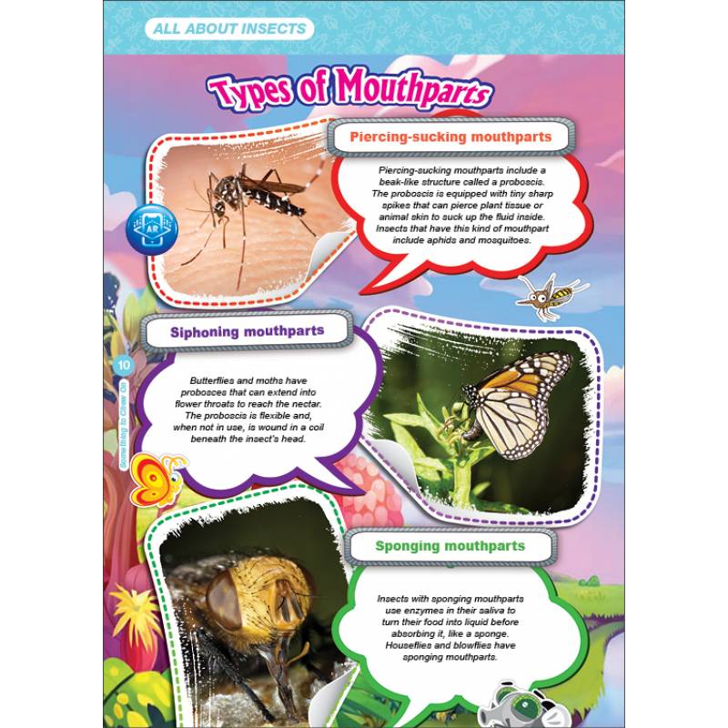 World of Science: Adventures with Insects