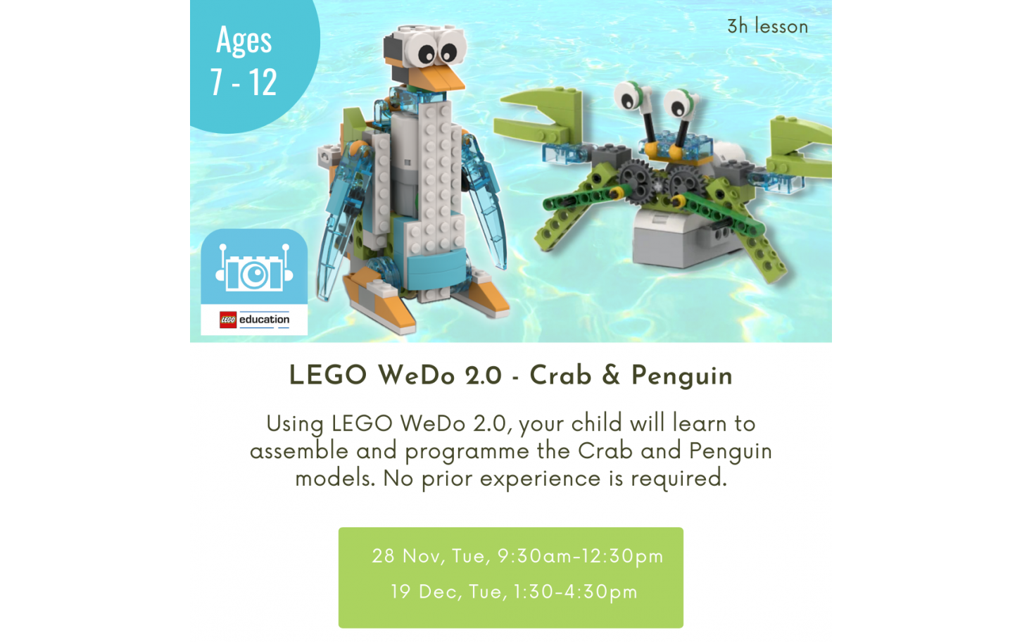 Terra Minds - LEGO WeDo 2.0 - Crab and Penguin (3h)