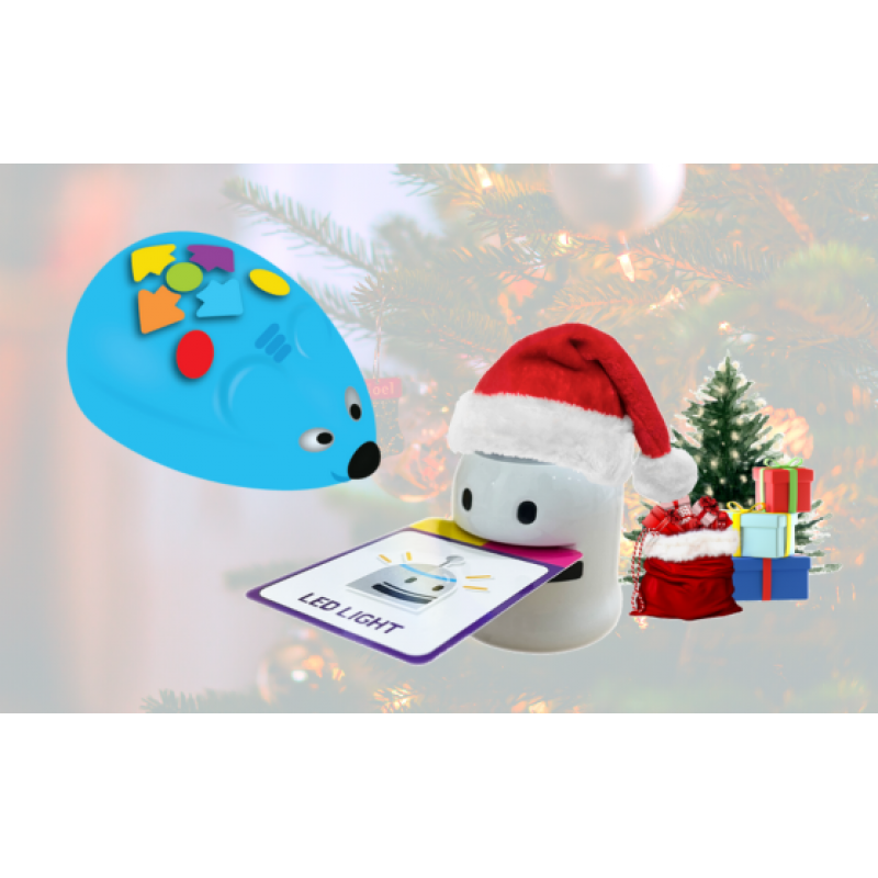 Terra Minds - Unplugged Coding with Robots Colby & Santa TrueTrue (3h)